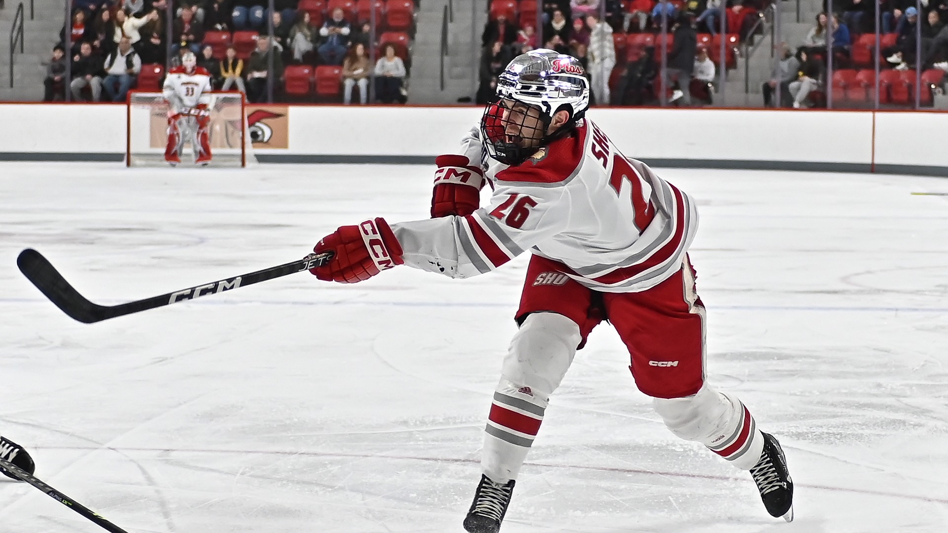 Neil Shea - 2022-23 - Men's Ice Hockey - Sacred Heart University