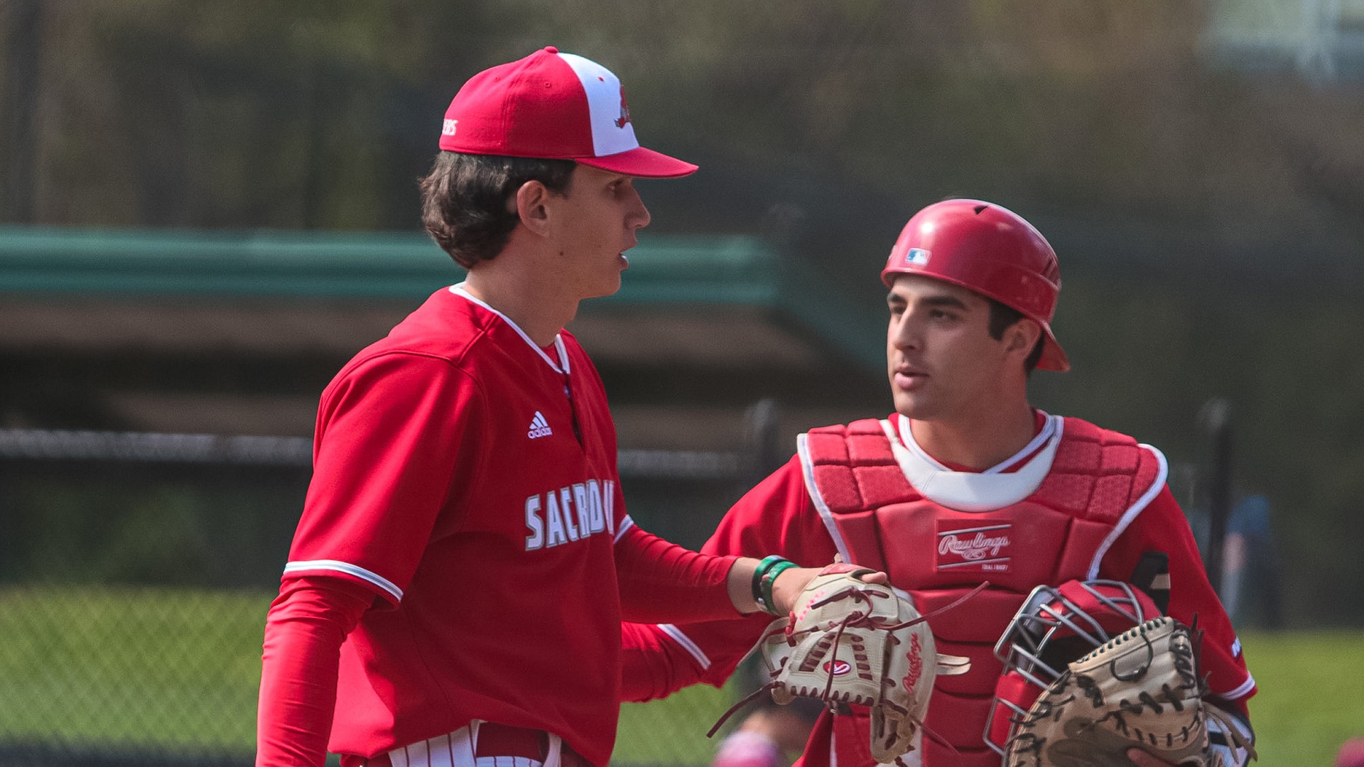 Nick Kane - 2023 - Baseball - Sacred Heart University