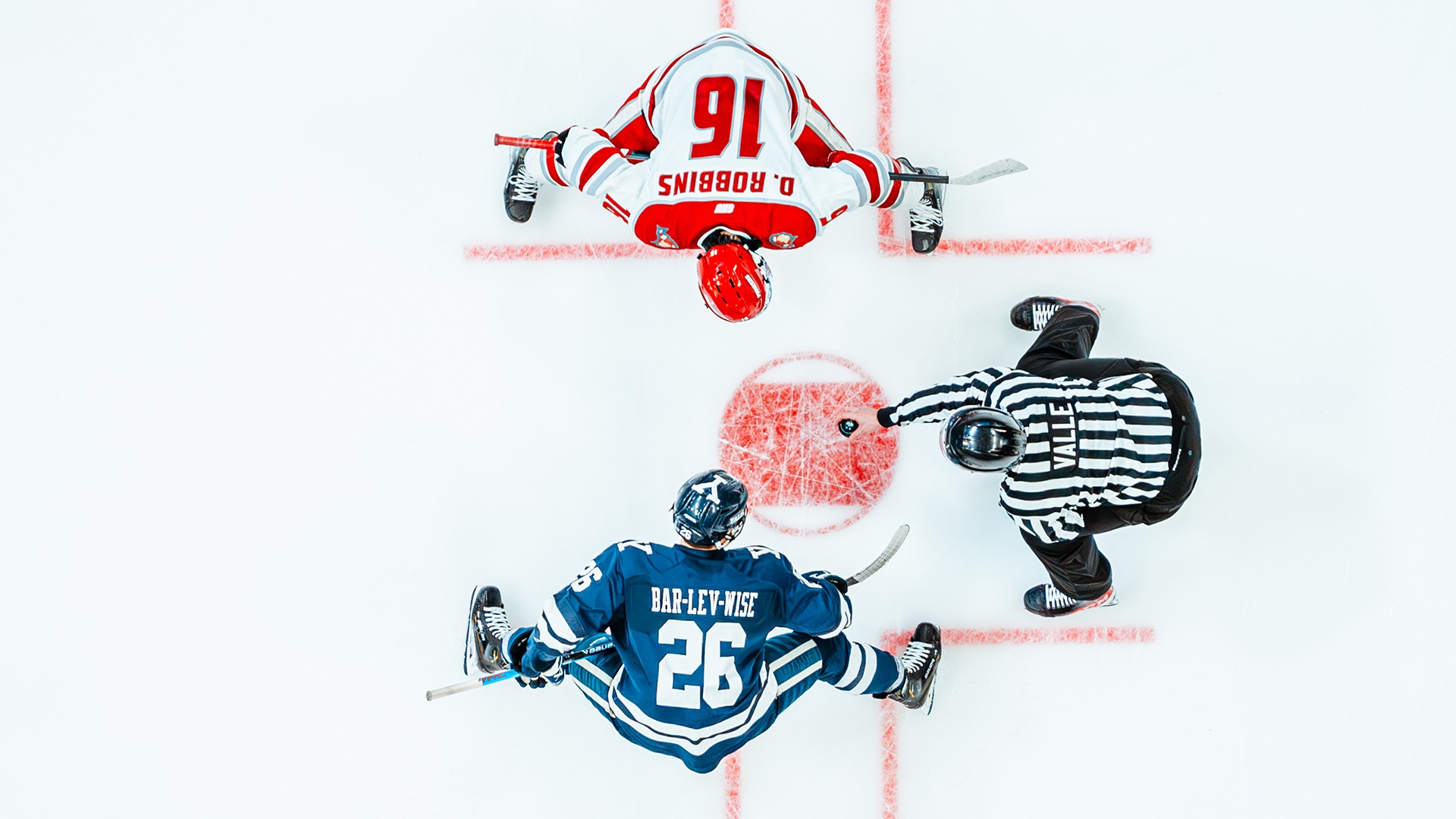 Dylan Robbins - 2023-24 - Men's Ice Hockey - Sacred Heart University