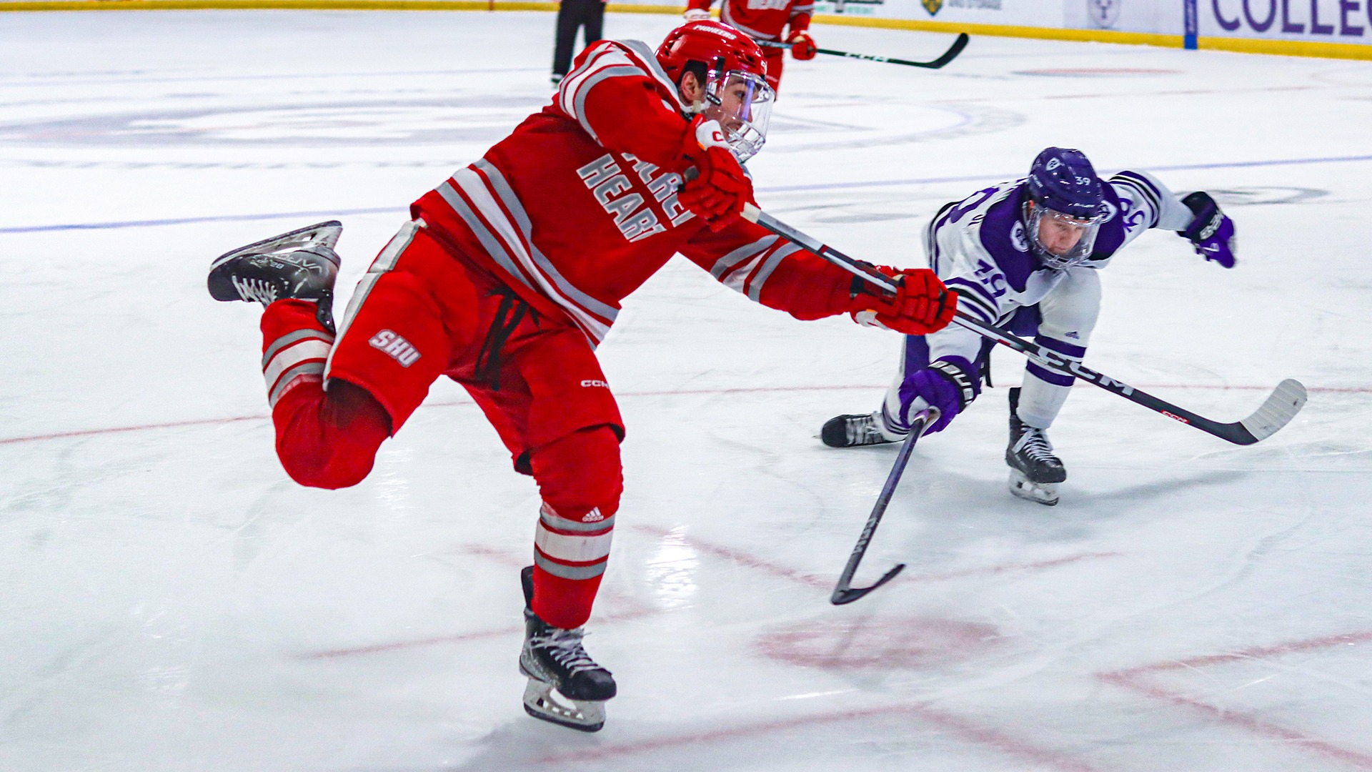 TJ Walsh - 2023-24 - Men's Ice Hockey - Sacred Heart University