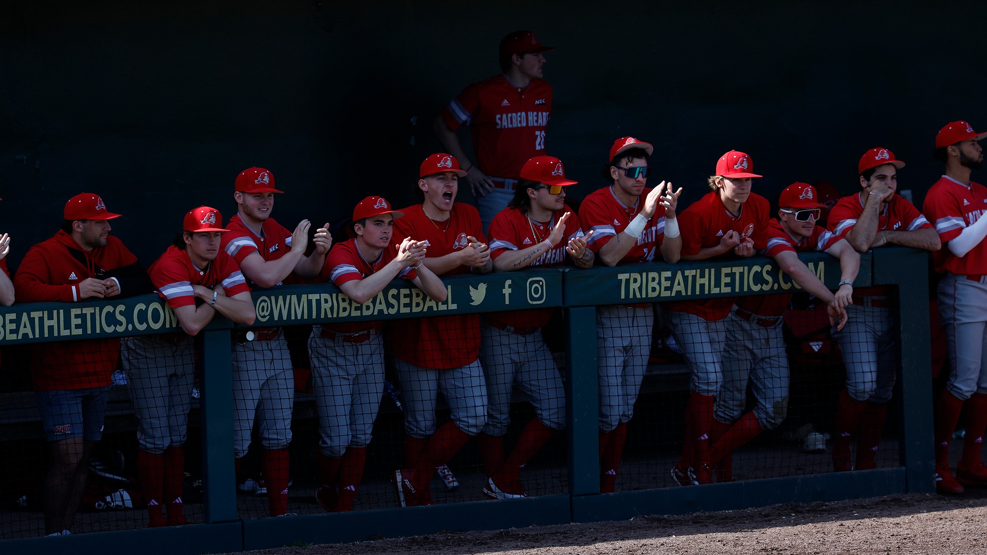 Baseball Falls at Northeastern, 10-0 (7 inn.) - Sacred Heart University