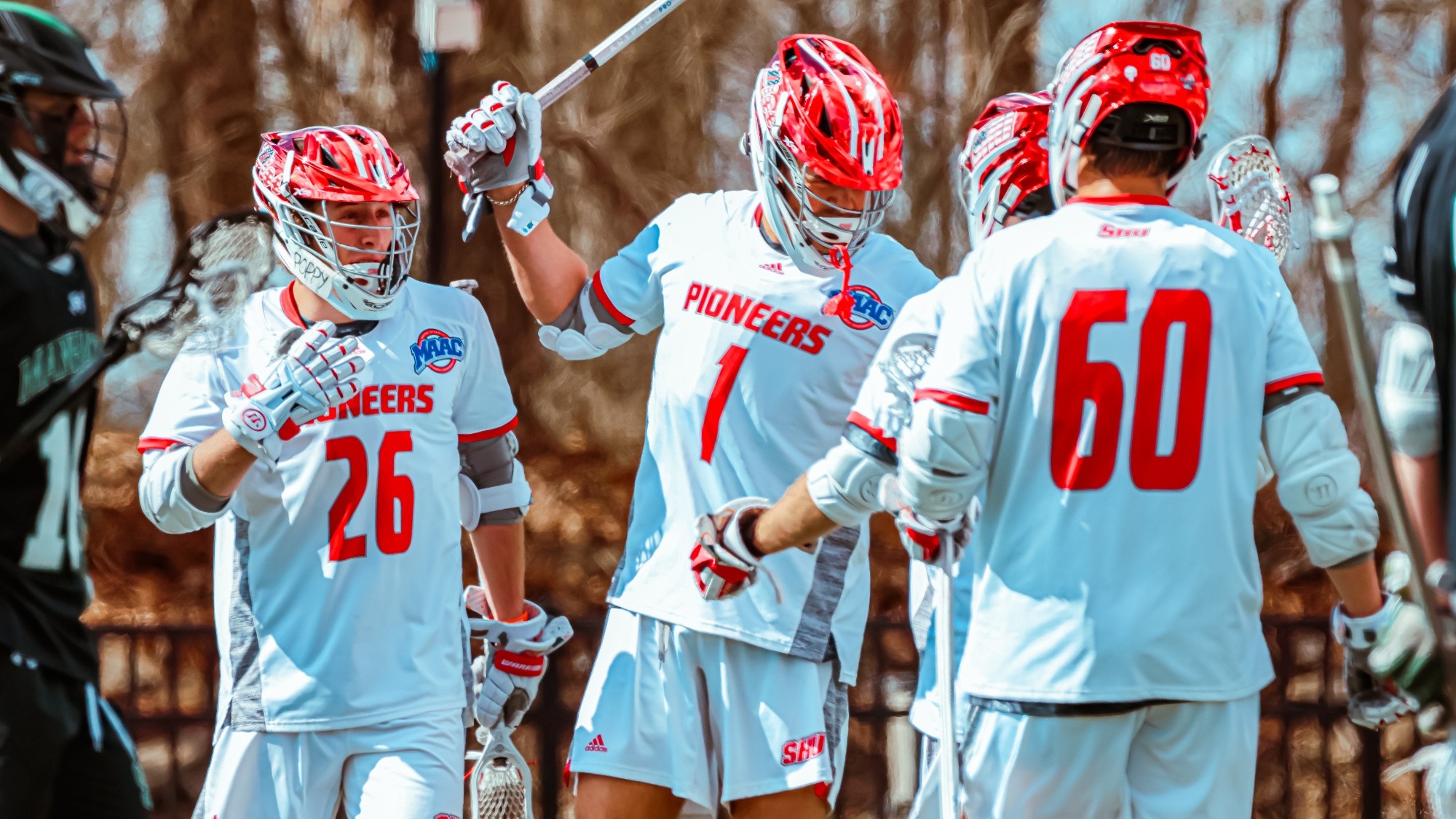 Sal Miccio - 2024 - Men's Lacrosse - Sacred Heart University