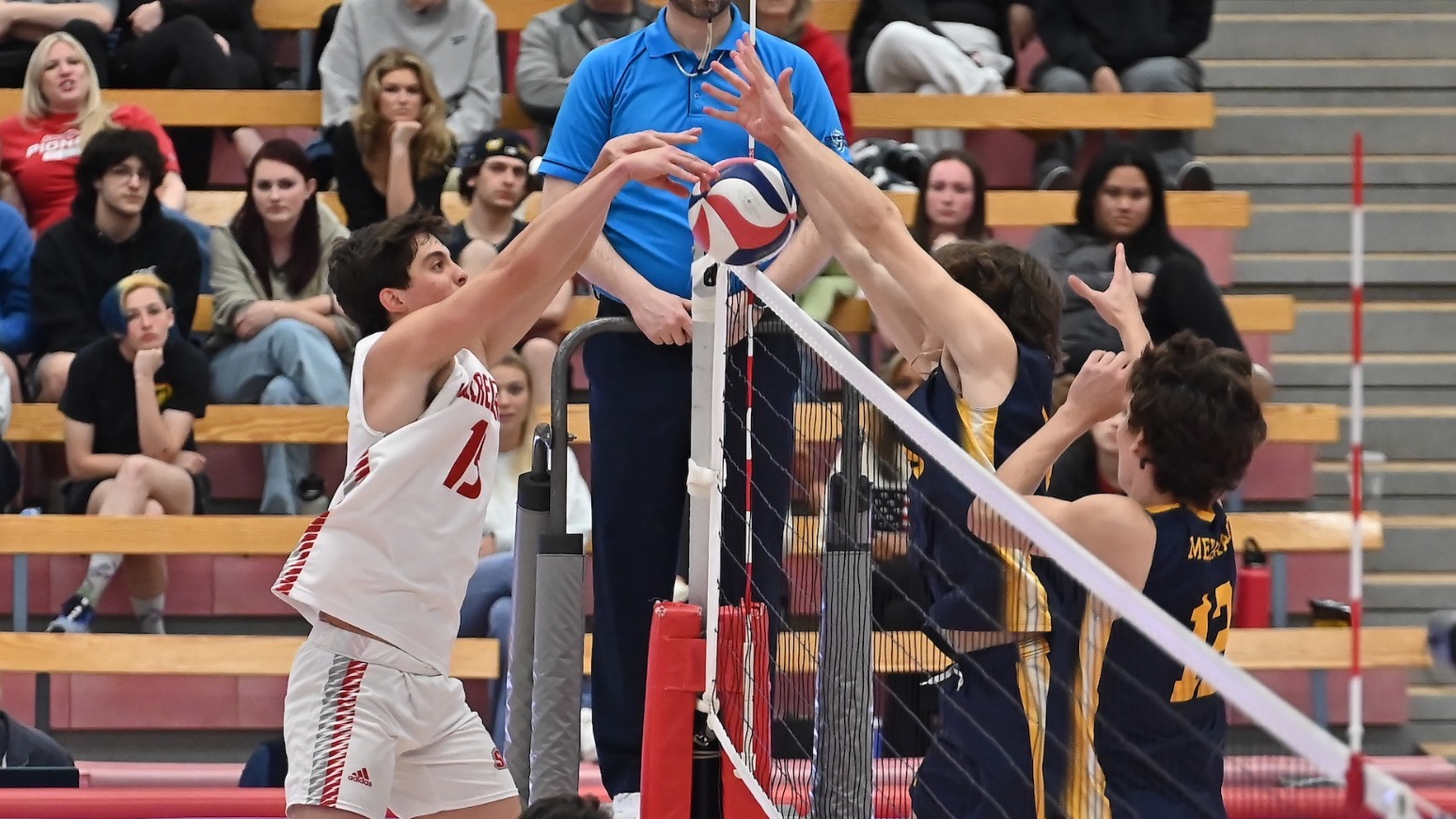 Carlos Santa Cruz - 2024 - Men's Volleyball - Sacred Heart University