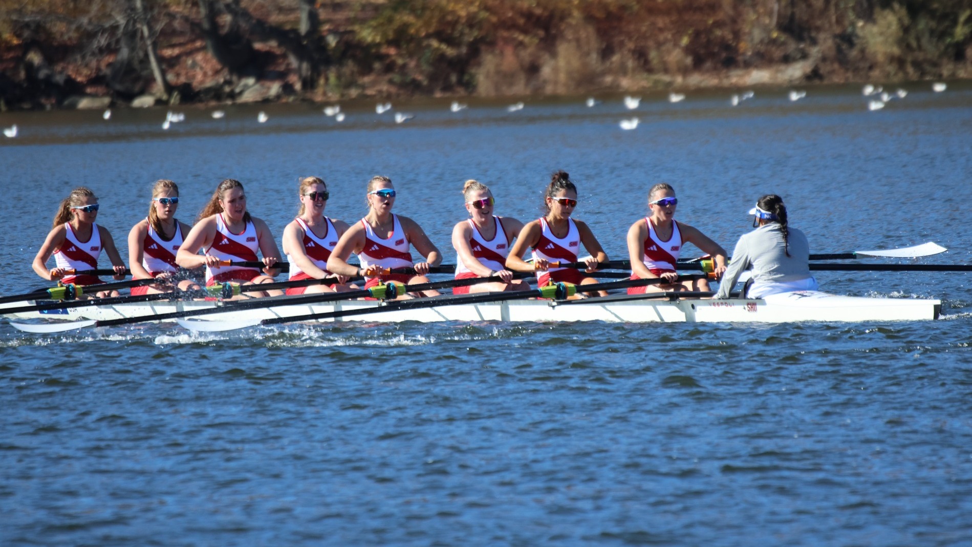 Rowing Celebrates Senior Day with Sweep of Drake and Canisius - Sacred ...