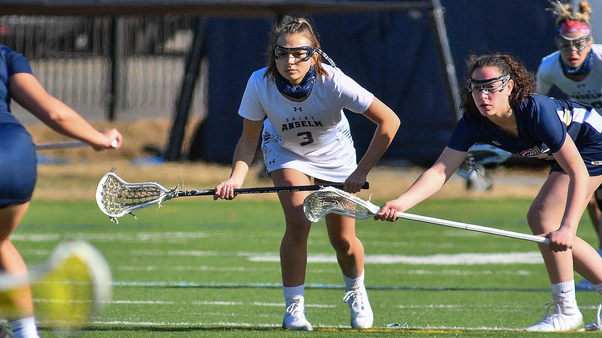 Lexi Palmisano - 2023 - Women's Lacrosse - Saint Anselm College