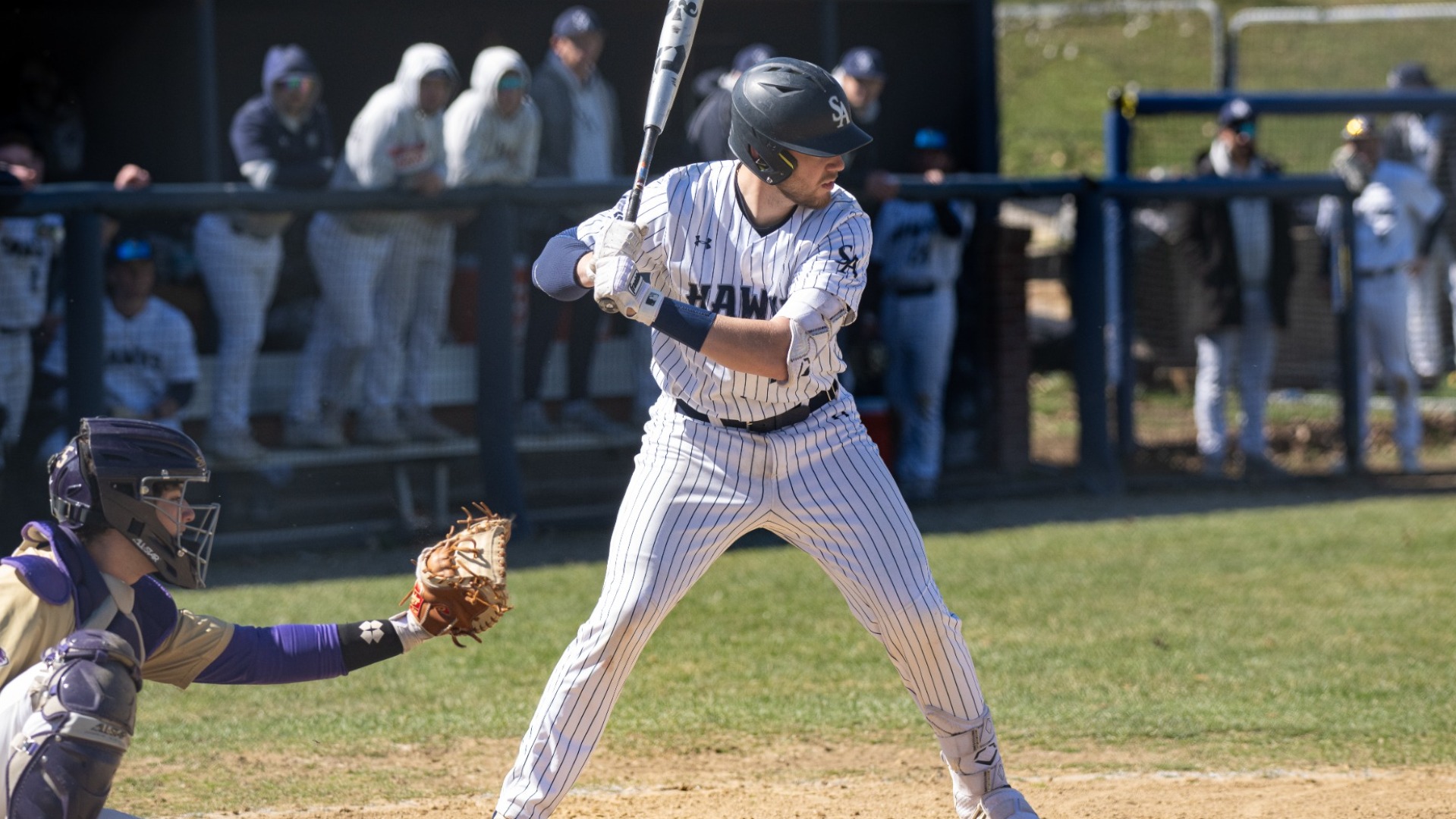Mike Borrelli - 2023 - Baseball - Saint Anselm College