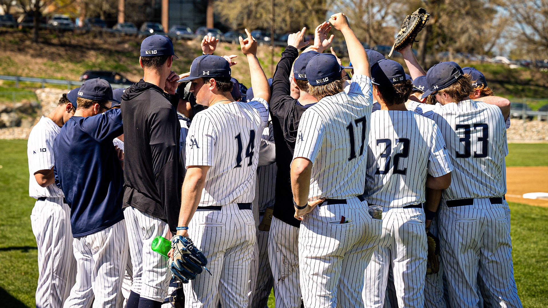 Baseball Drops Series Finale at Bentley - Saint Anselm College