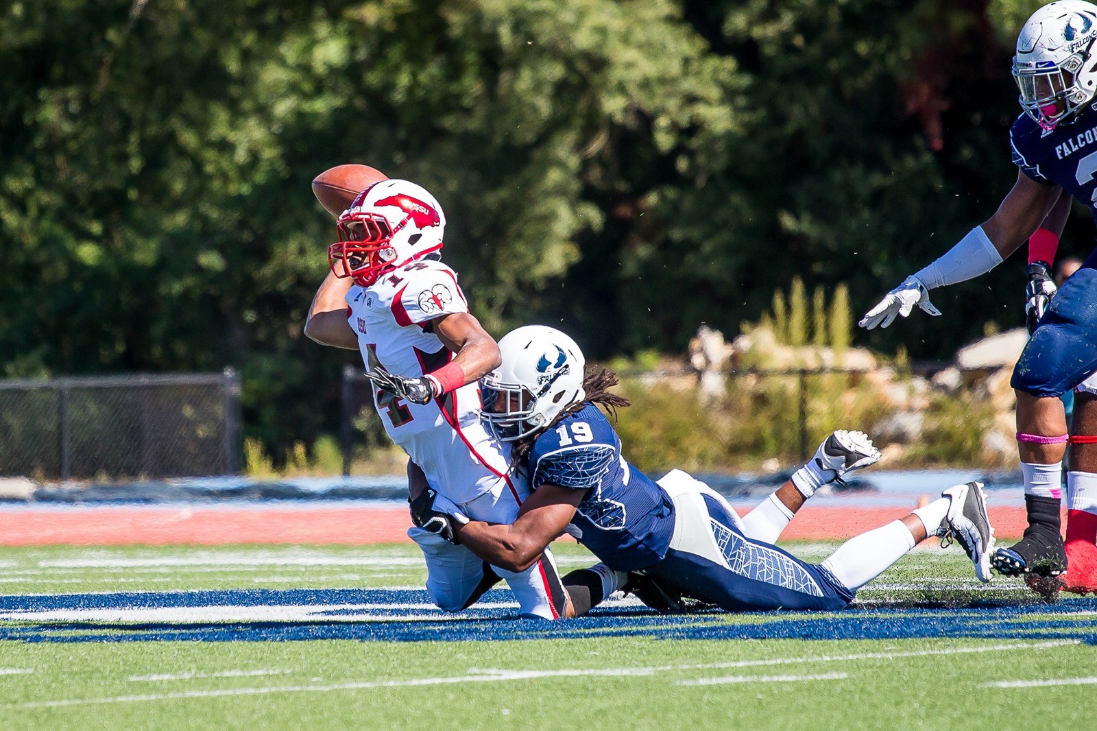 Cameron Brown - 2015 - Football - Saint Augustine's University Athletics