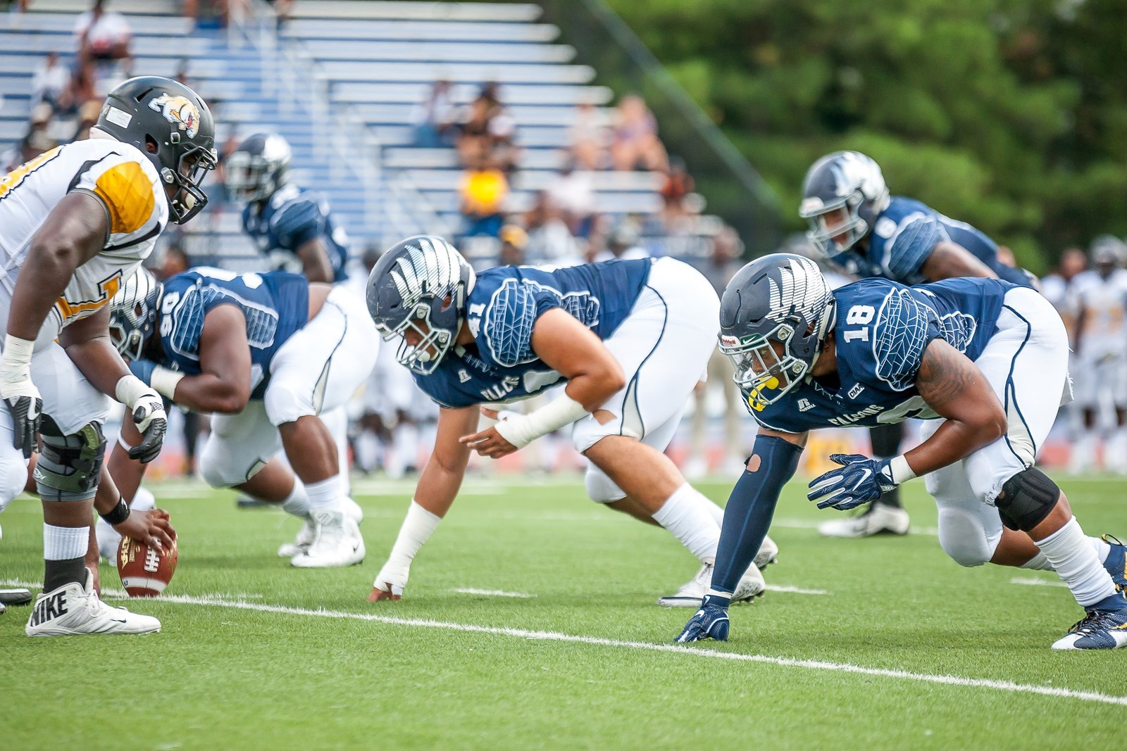 Darius Goodman - 2017 - Football - Saint Augustine's University Athletics