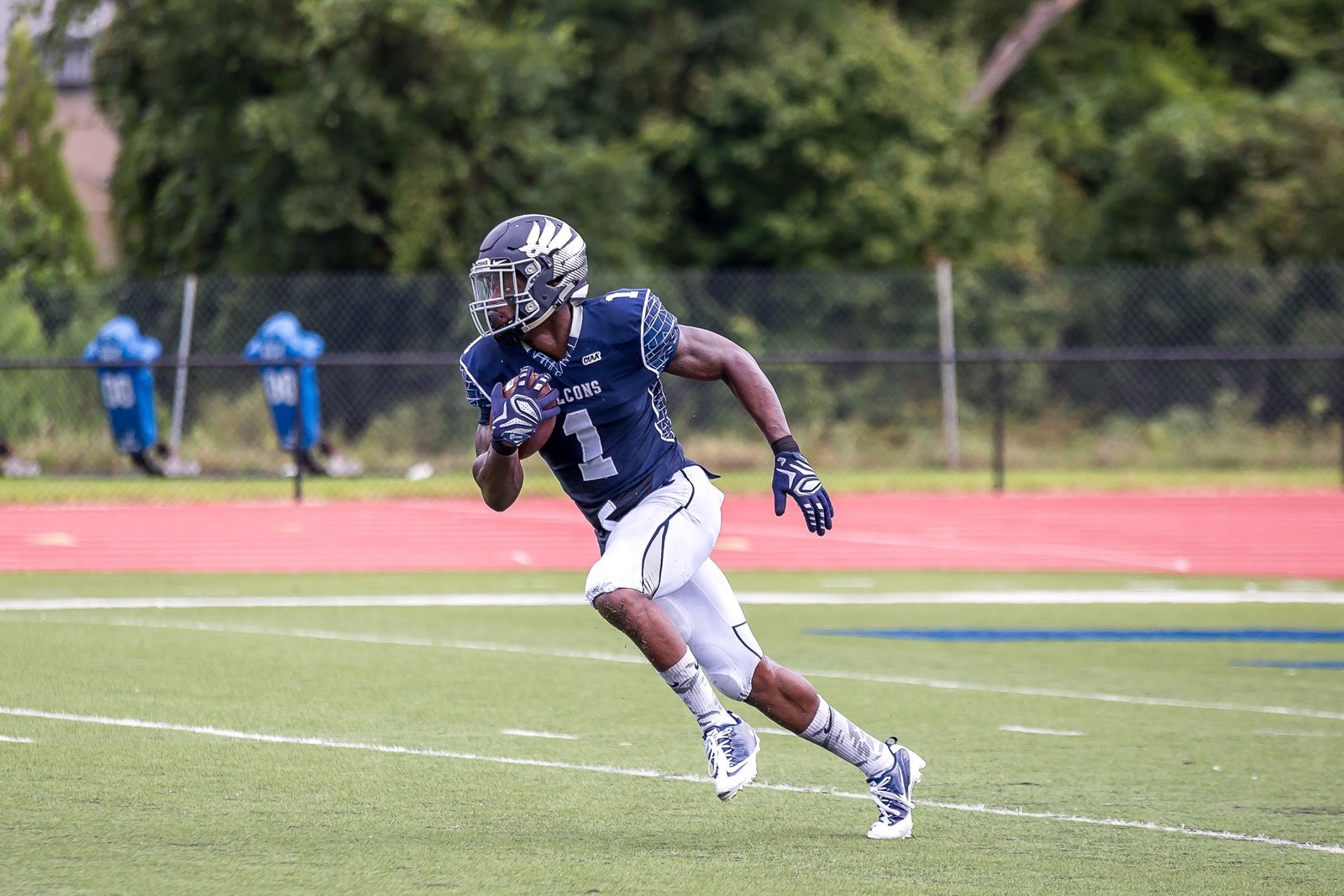 Sam Boyd - 2017 - Football - Saint Augustine's University Athletics