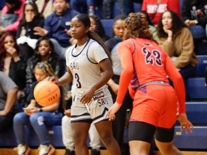 Lady Falcons hold off Panthers in thrilling CIAA matchup - Saint ...