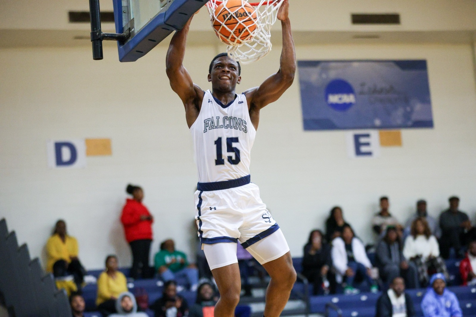 Nemo Johnson - 2023-24 - Men's Basketball - Saint Augustine's ...