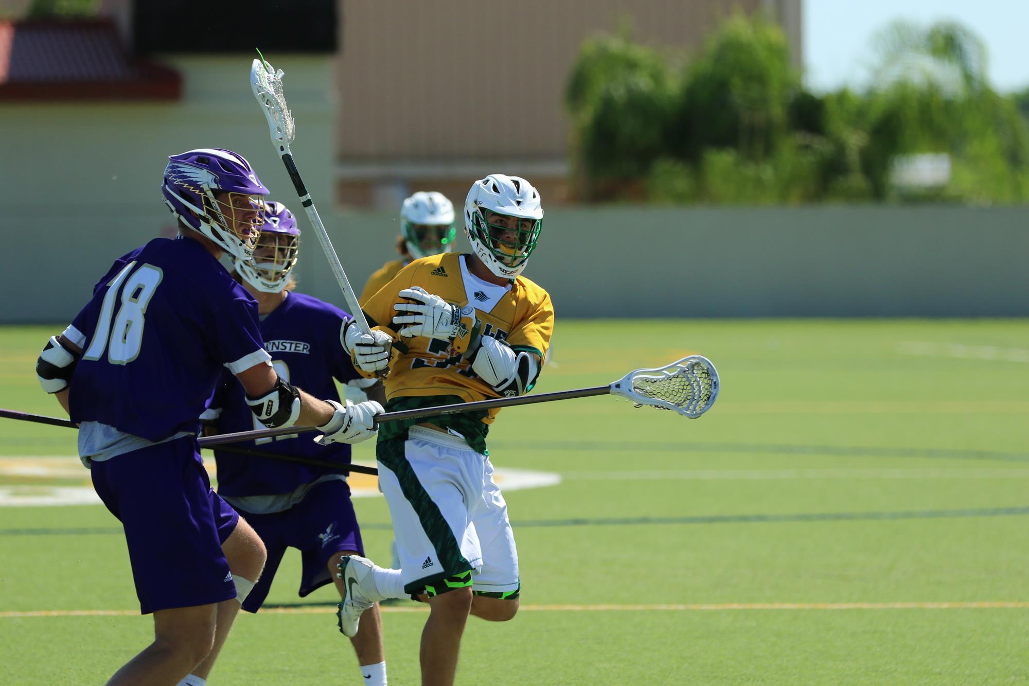 Jake Gilmour - Men's Lacrosse - Saint Leo University Athletics