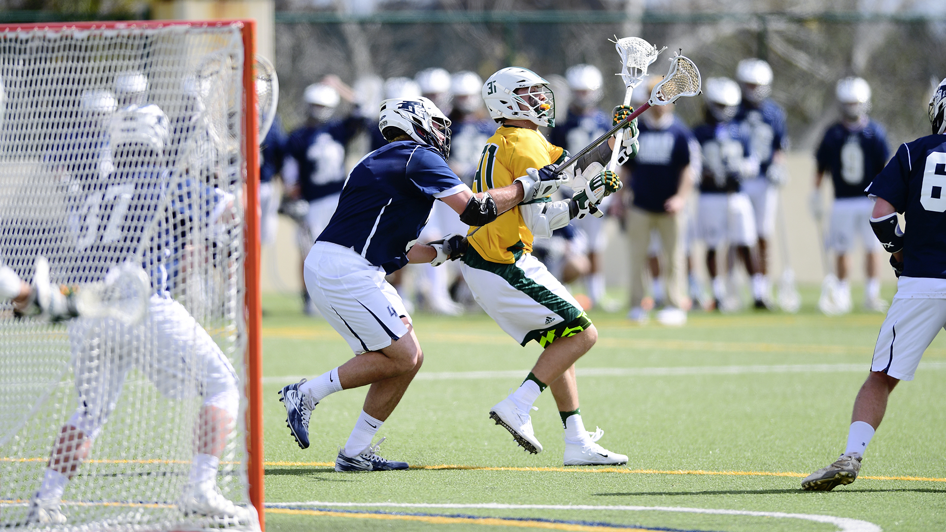 Jake Gilmour - Men's Lacrosse - Saint Leo University Athletics