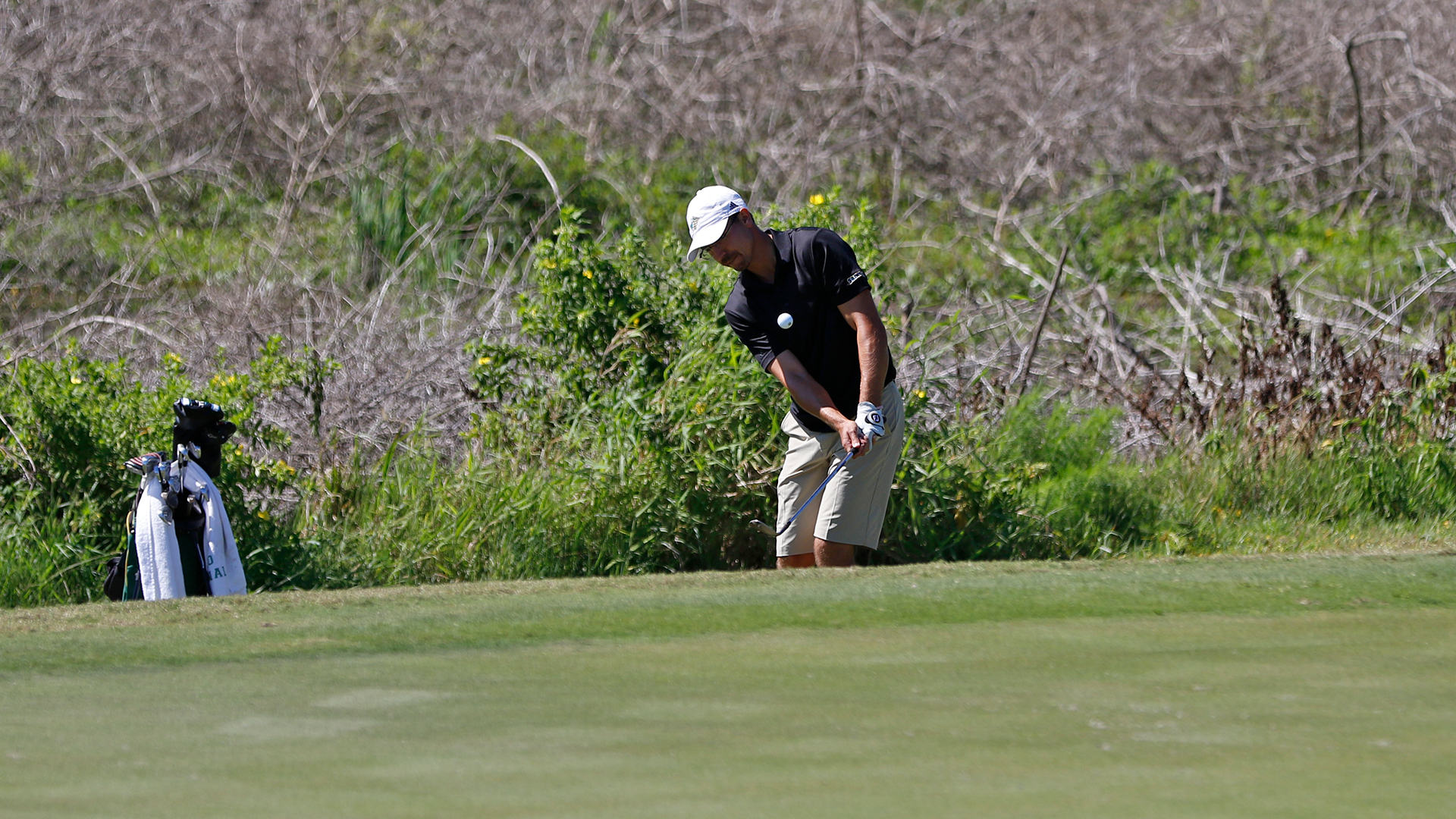 Dave Longhini - Men's Golf - Saint Leo University Athletics