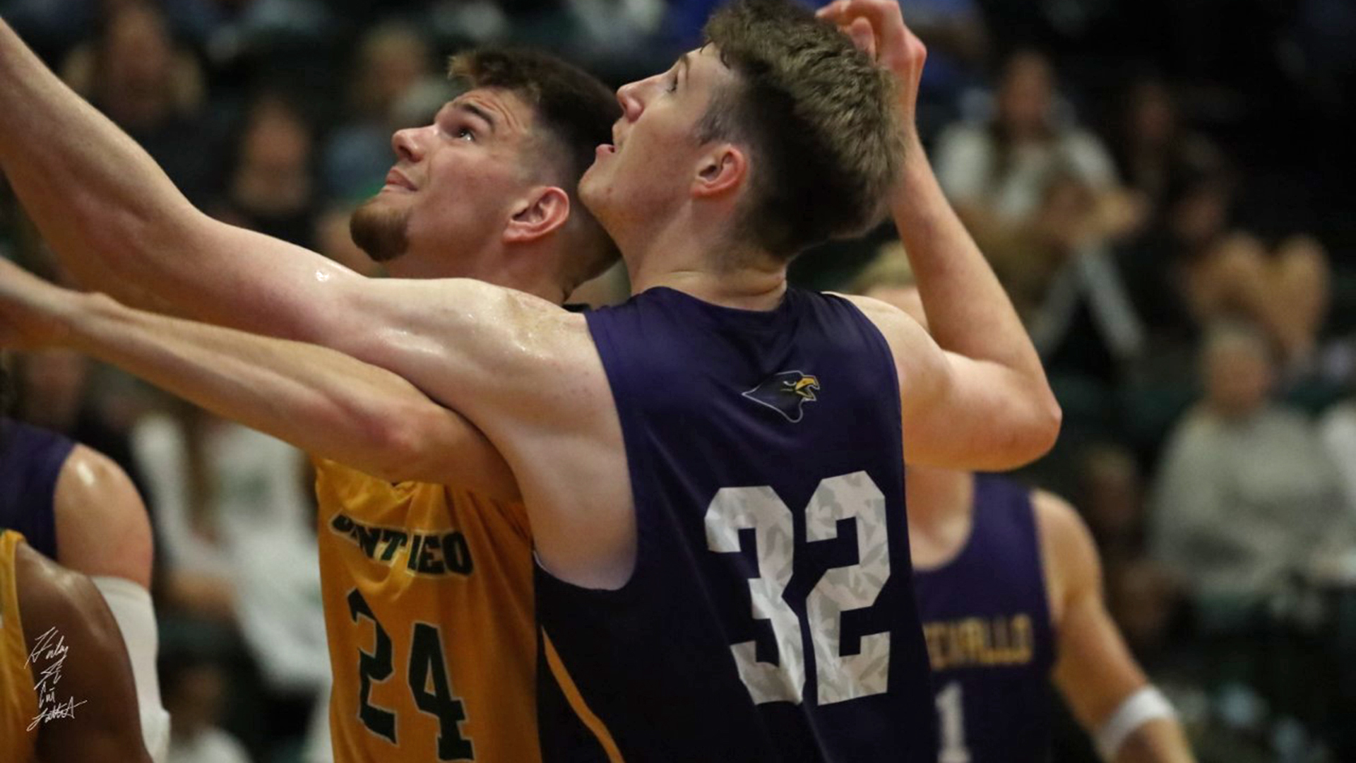 Luke Haasl - Men's Basketball - Saint Leo University Athletics