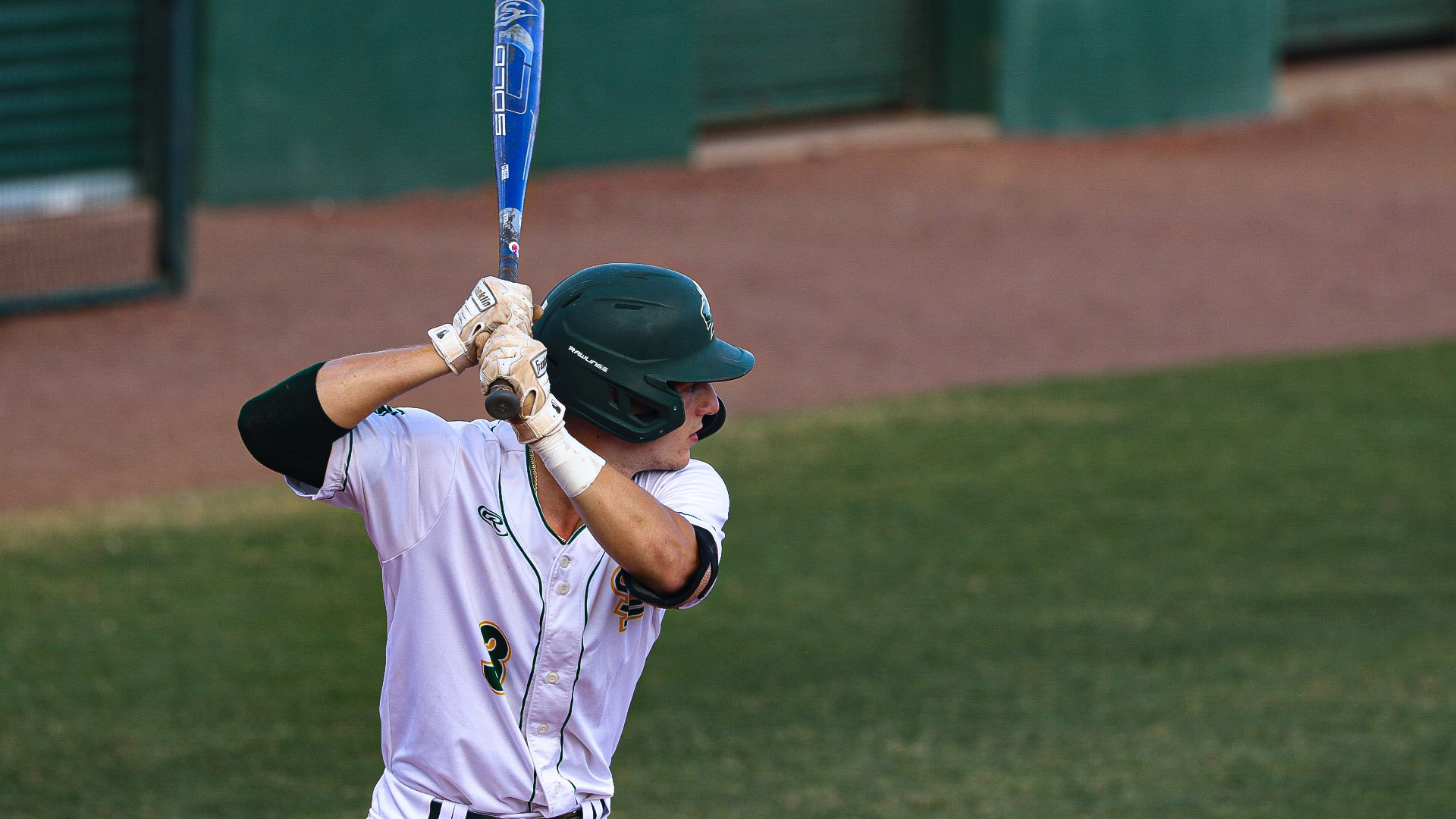 Danny Torres - Baseball - Saint Leo University Athletics