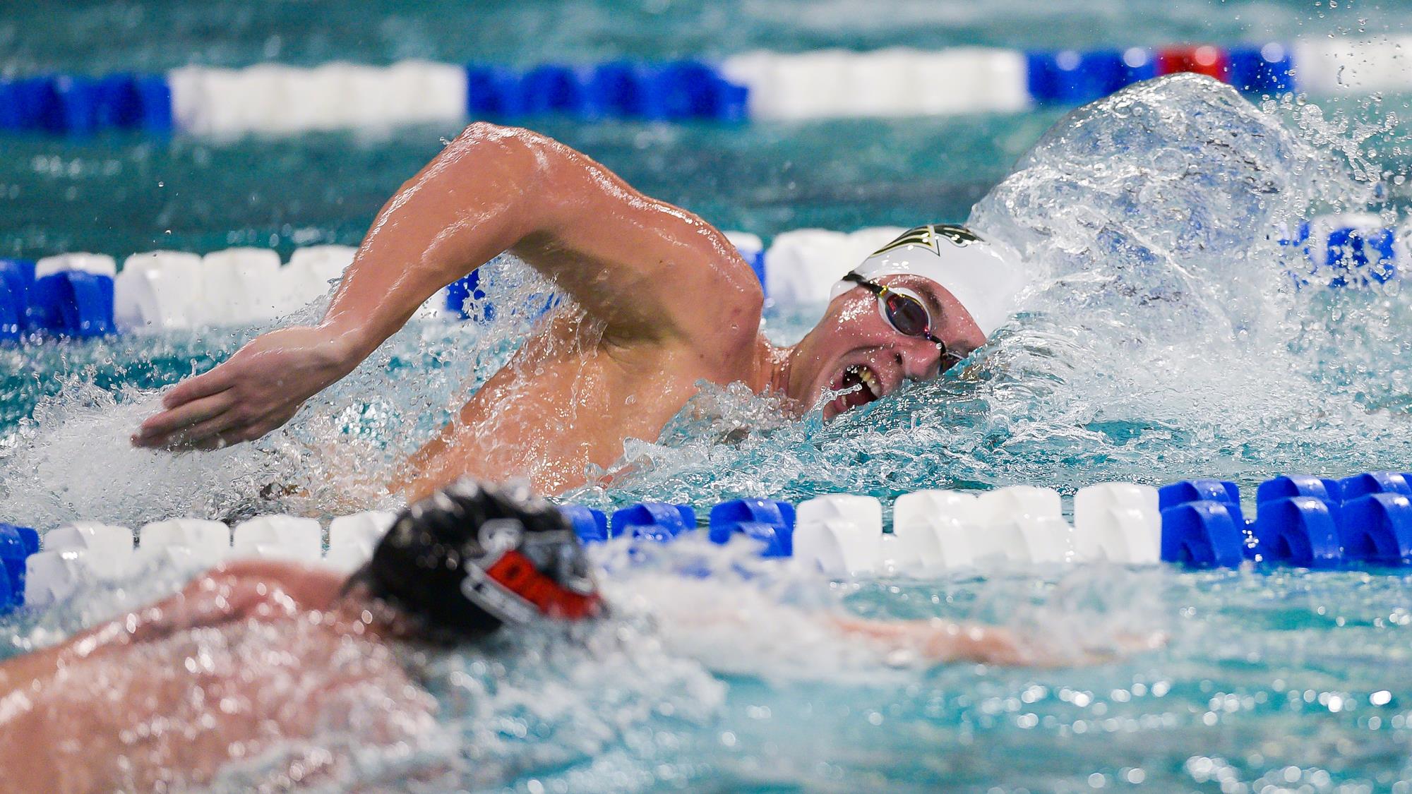 Matthew Daniel - Men's Swimming - Saint Leo University Athletics