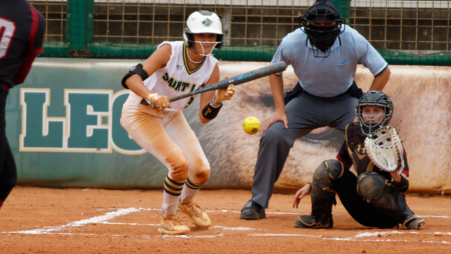 Alexandra Hare - Softball - Saint Leo University Athletics