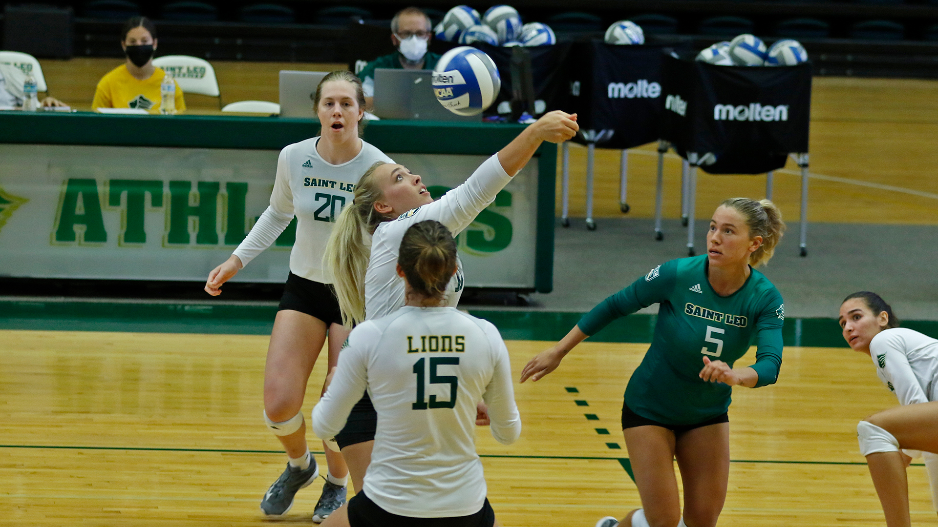Skylar Singleton - Women's Volleyball - Saint Leo University Athletics