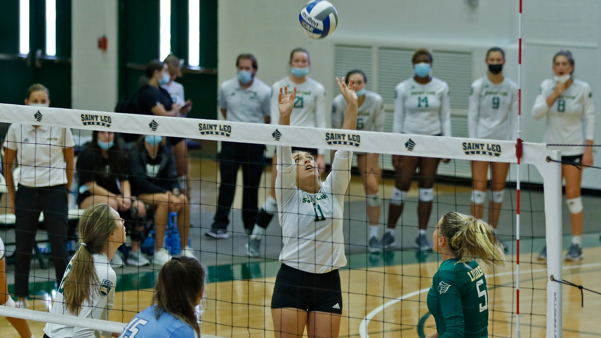 Skylar Singleton - Women's Volleyball - Saint Leo University Athletics
