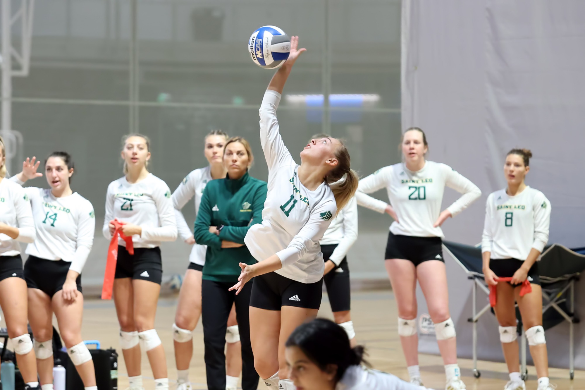 Skylar Singleton - Women's Volleyball - Saint Leo University Athletics