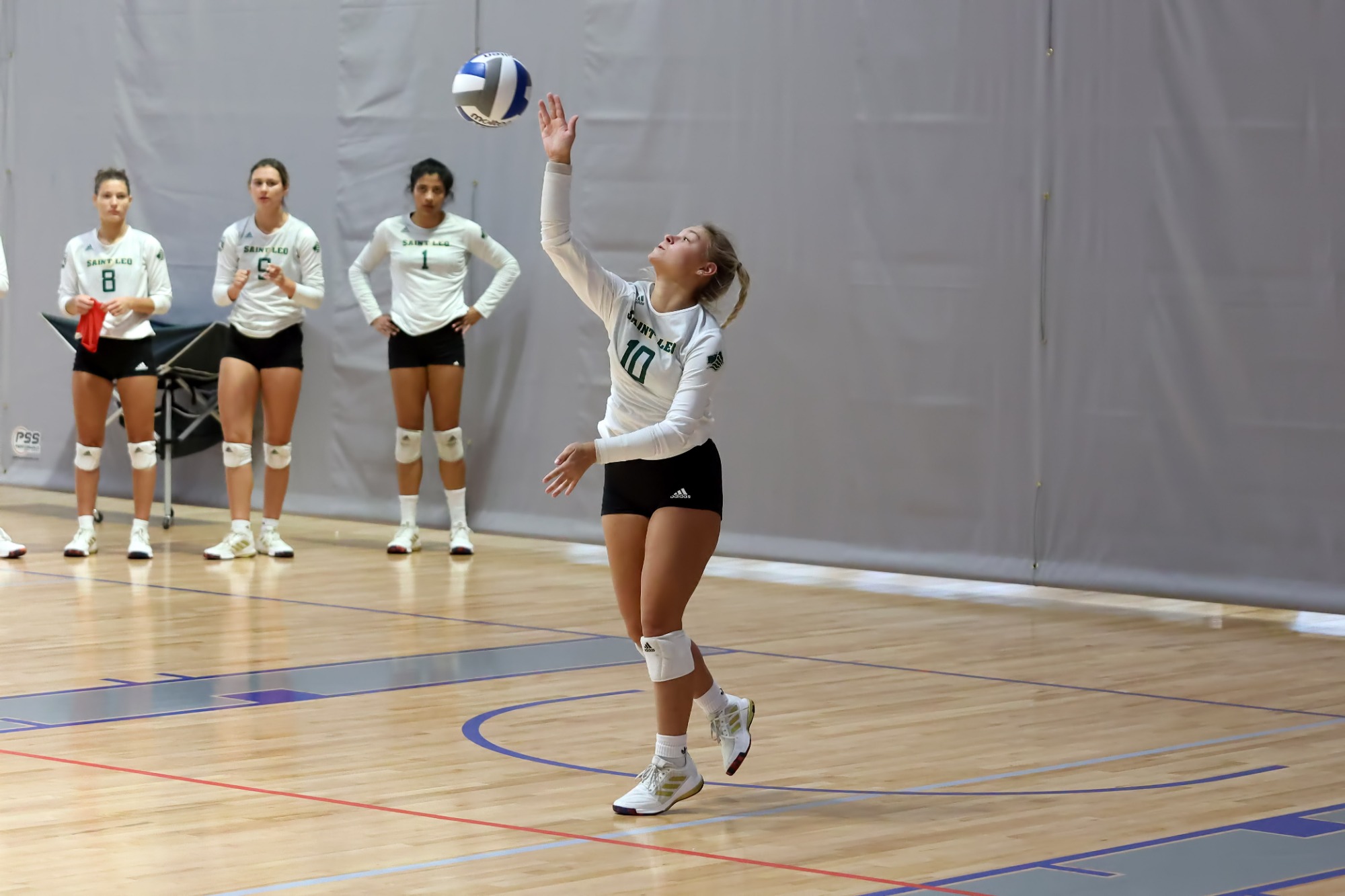 Isabella Velazquez - Women's Volleyball - Saint Leo University Athletics