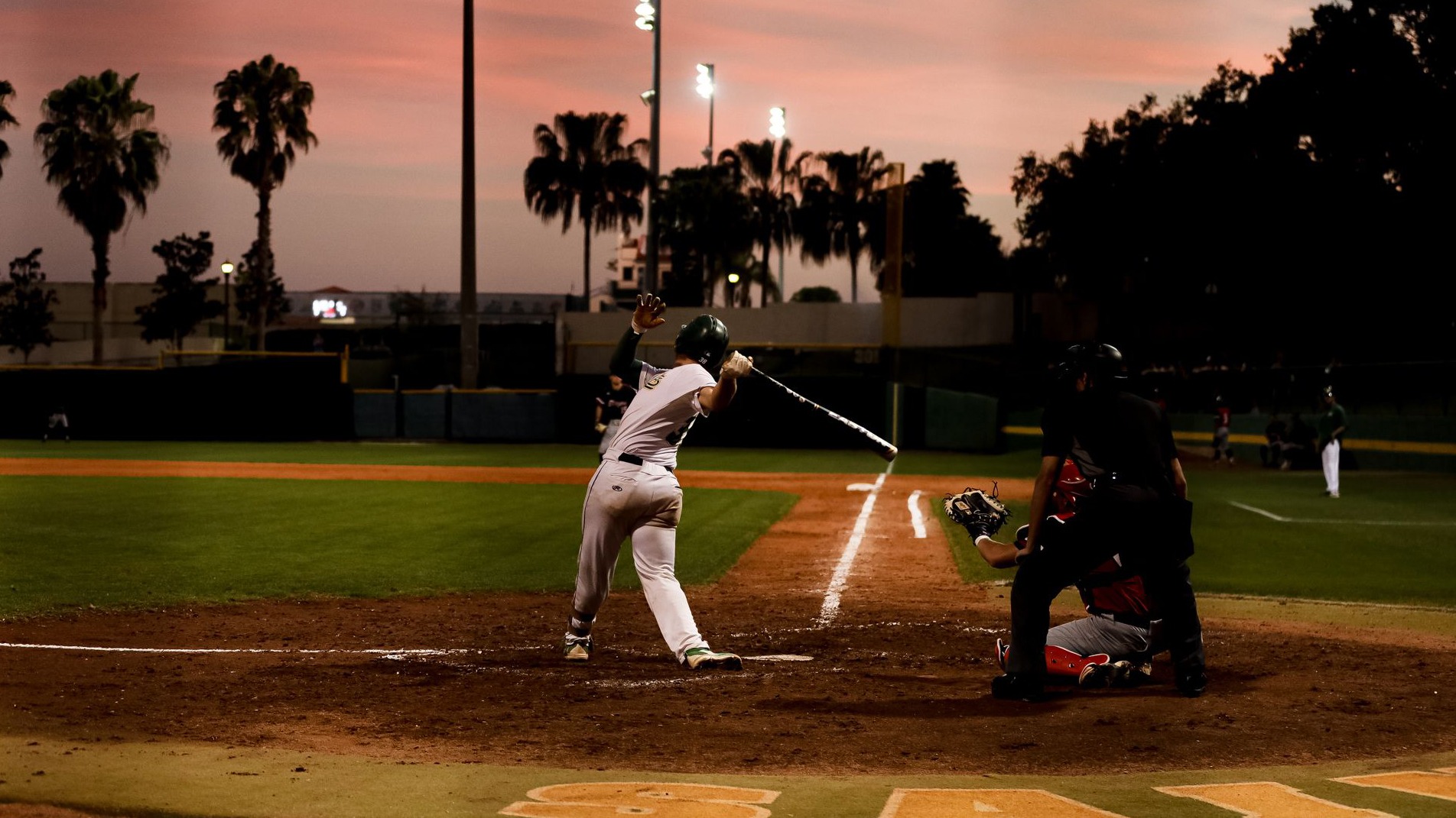 Luke Houin - Baseball - Saint Leo University Athletics