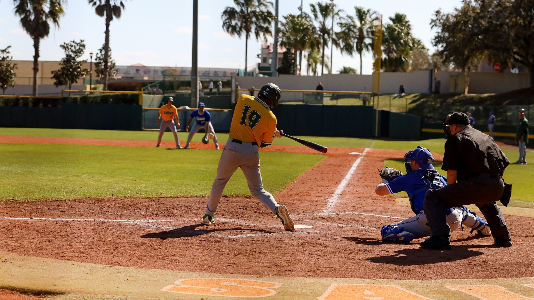 Mikey Scott - Baseball - Saint Leo University Athletics