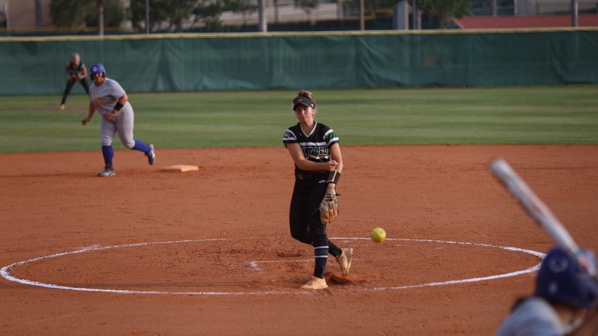 #11 Lions Fall in Game One of Series Versus Tars 2-0 - Saint Leo ...