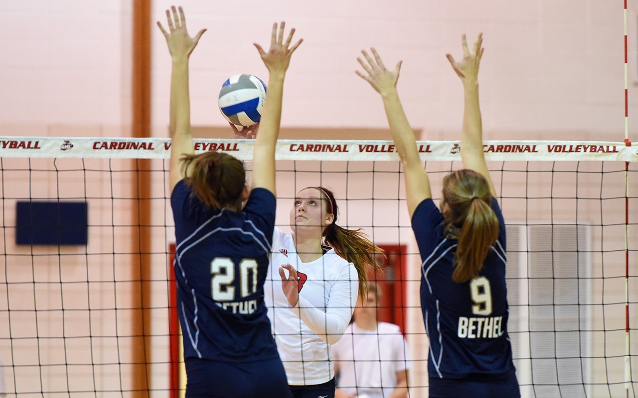 Brandi Blattner - Volleyball - Saint Mary's University of Minnesota ...