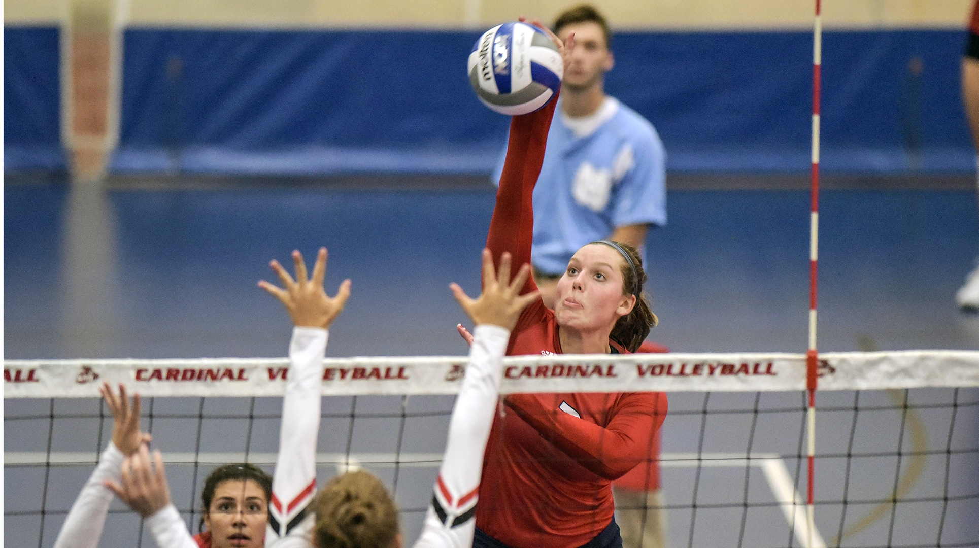 Brandi Blattner - Volleyball - Saint Mary's University of Minnesota ...