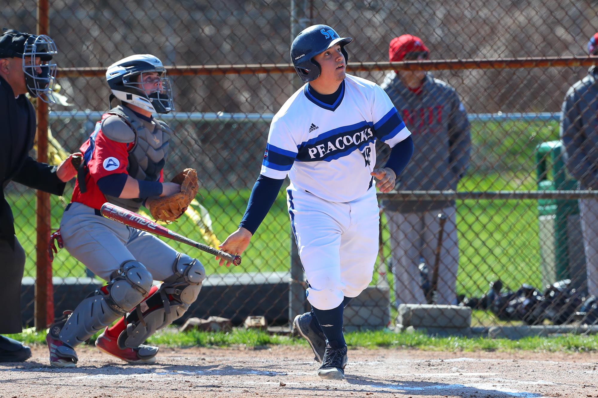 Chris Marquart - Baseball - Saint Peter's University Athletics