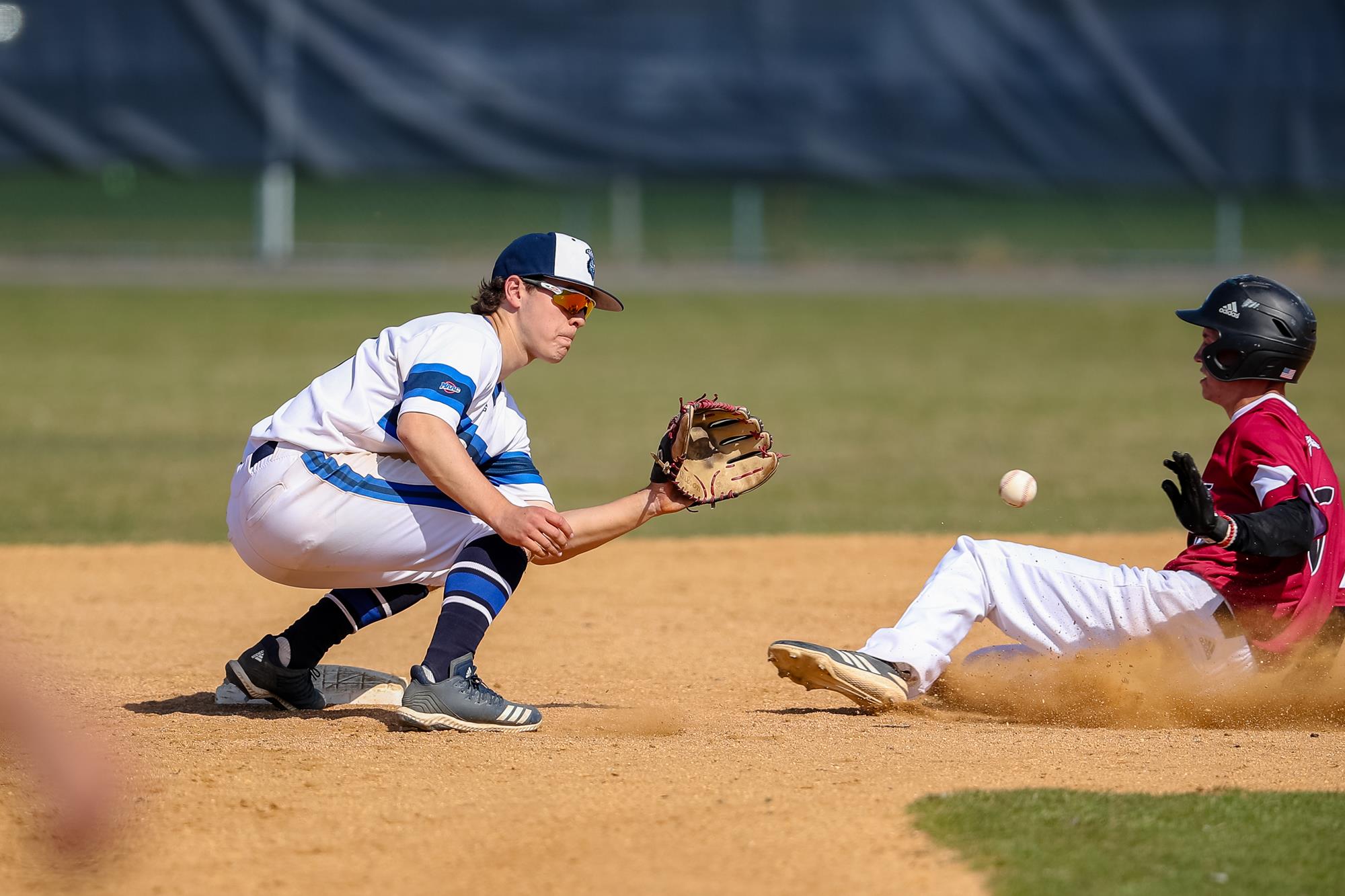 Jared Paladino - Baseball - Saint Peter's University Athletics