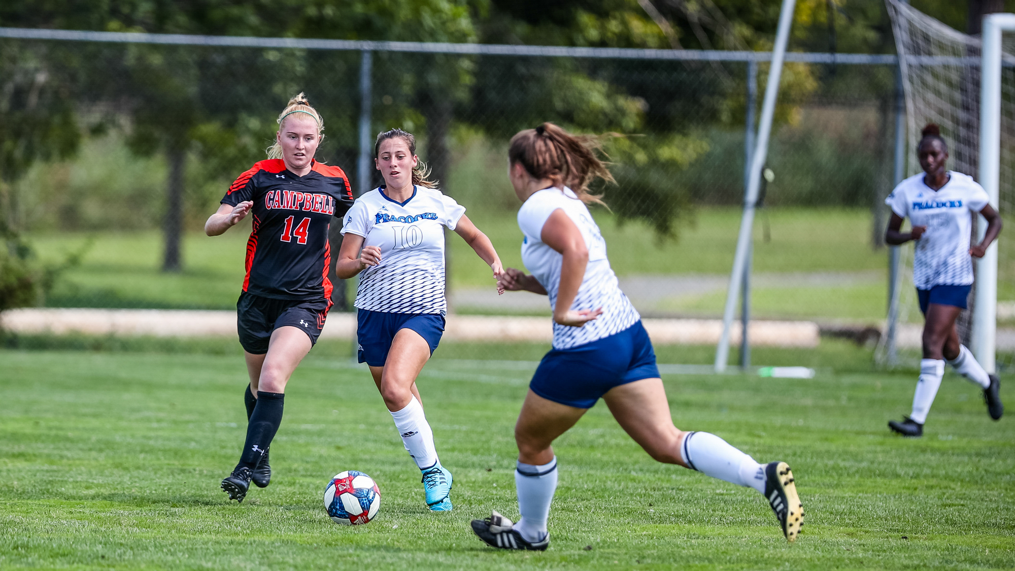Madison Greenberg - Women's Soccer - Saint Peter's University Athletics