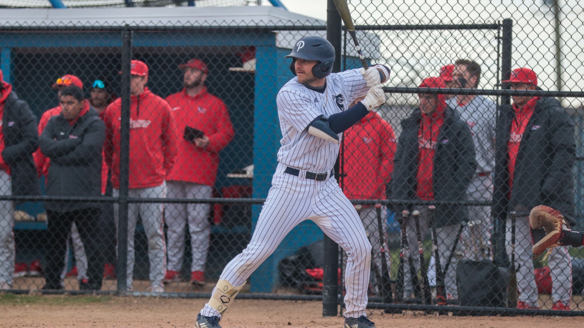 2024 Baseball Schedule - Saint Peter's University Athletics