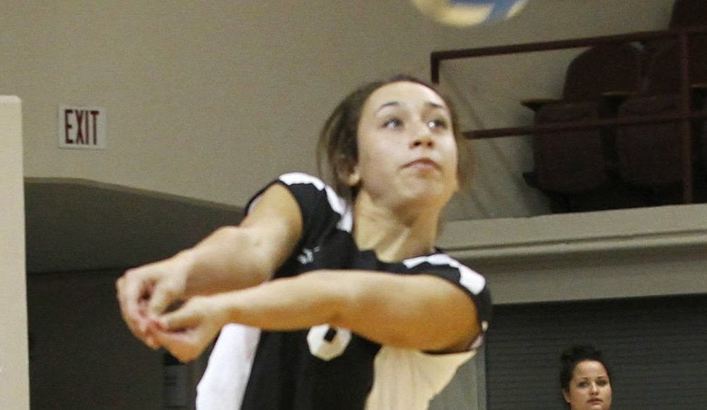 Serena Estrada - 2015 - Volleyball - Salem University Athletics