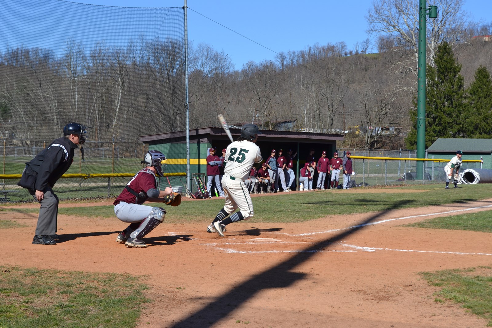 Matthew Flores - 2017 - Baseball - Salem University Athletics