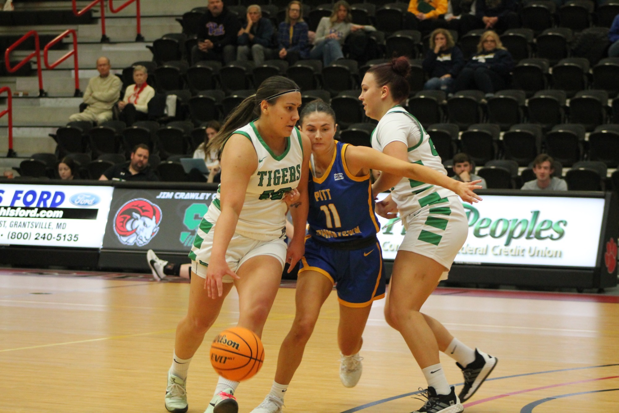 Tigers Topple Griffins in Home Opener - Salem University Athletics