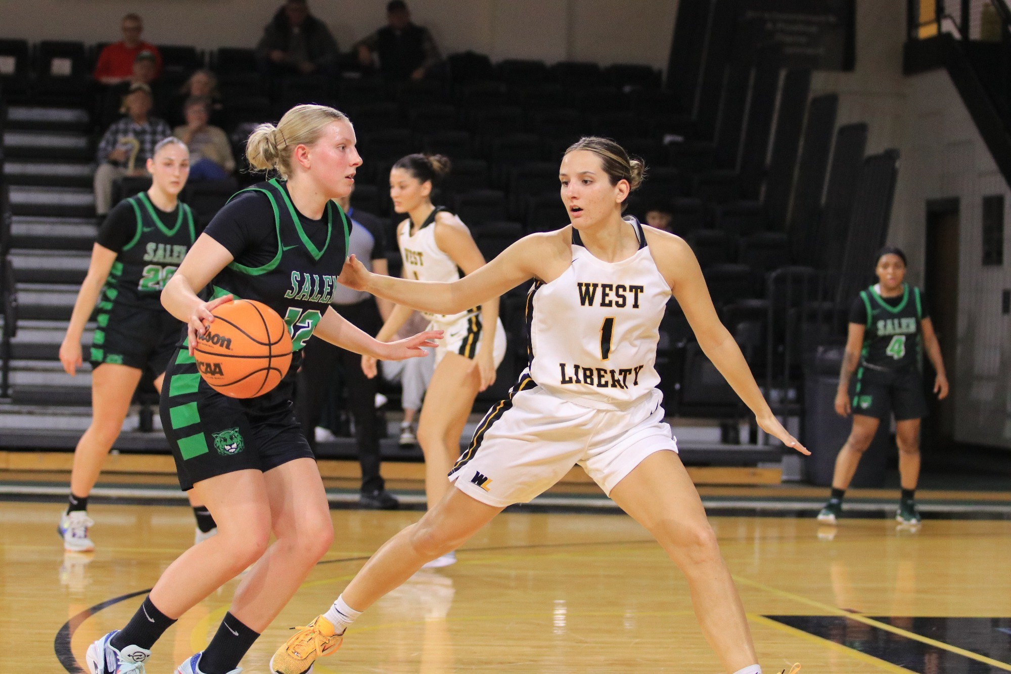 Tigers Dominate Wire to Wire - Salem University Athletics