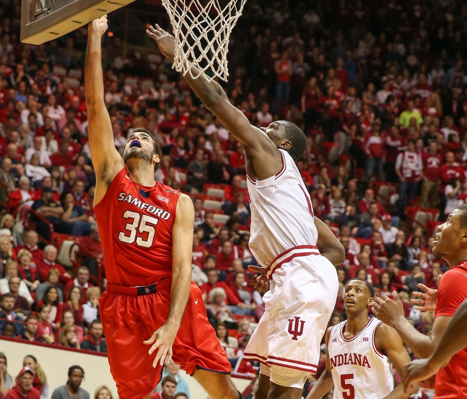 Tyler Hood - Men's Basketball - Samford University Athletics
