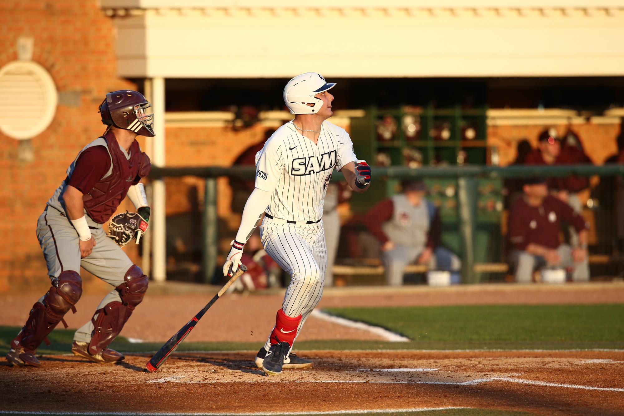 Jordan Fucci - Baseball - Samford University Athletics