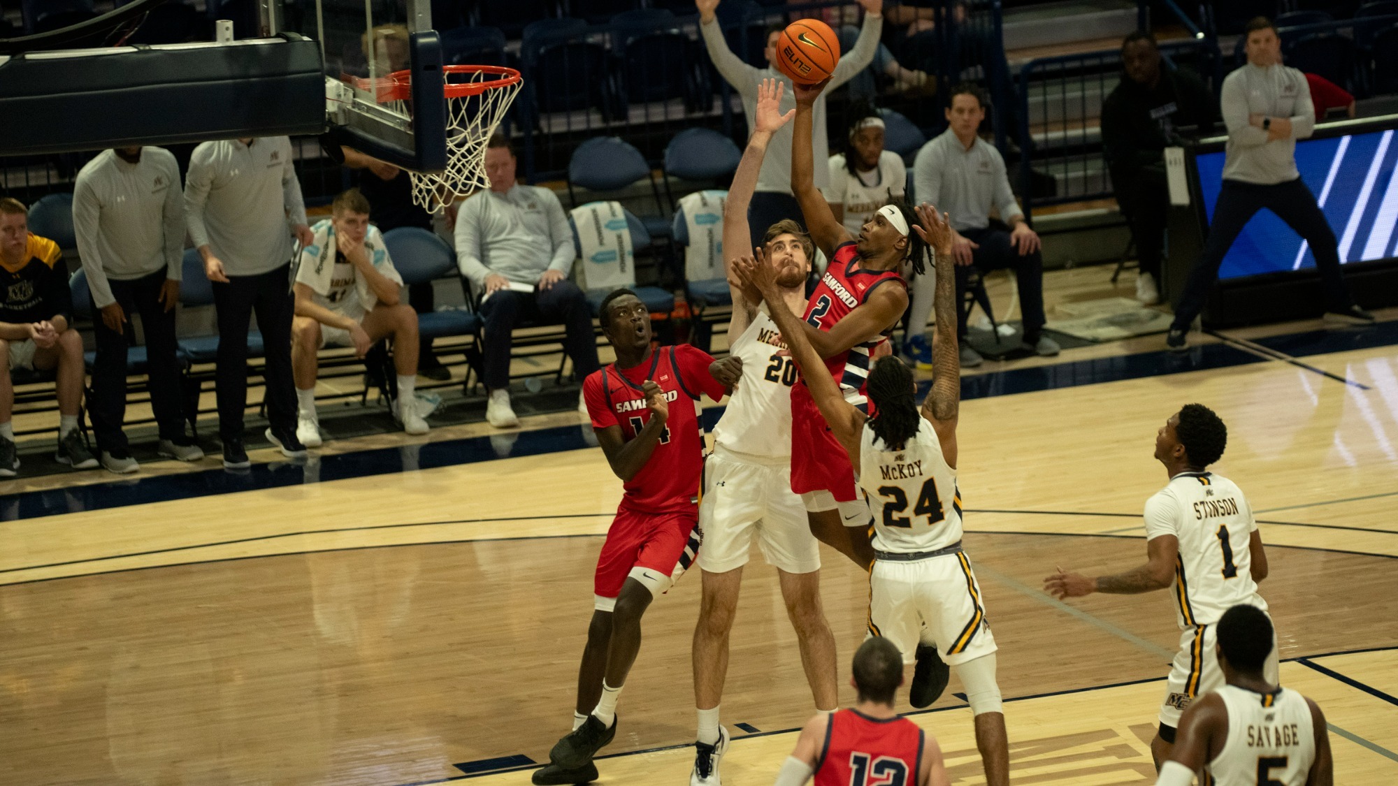 Jaden Campbell - Men's Basketball - Samford University Athletics