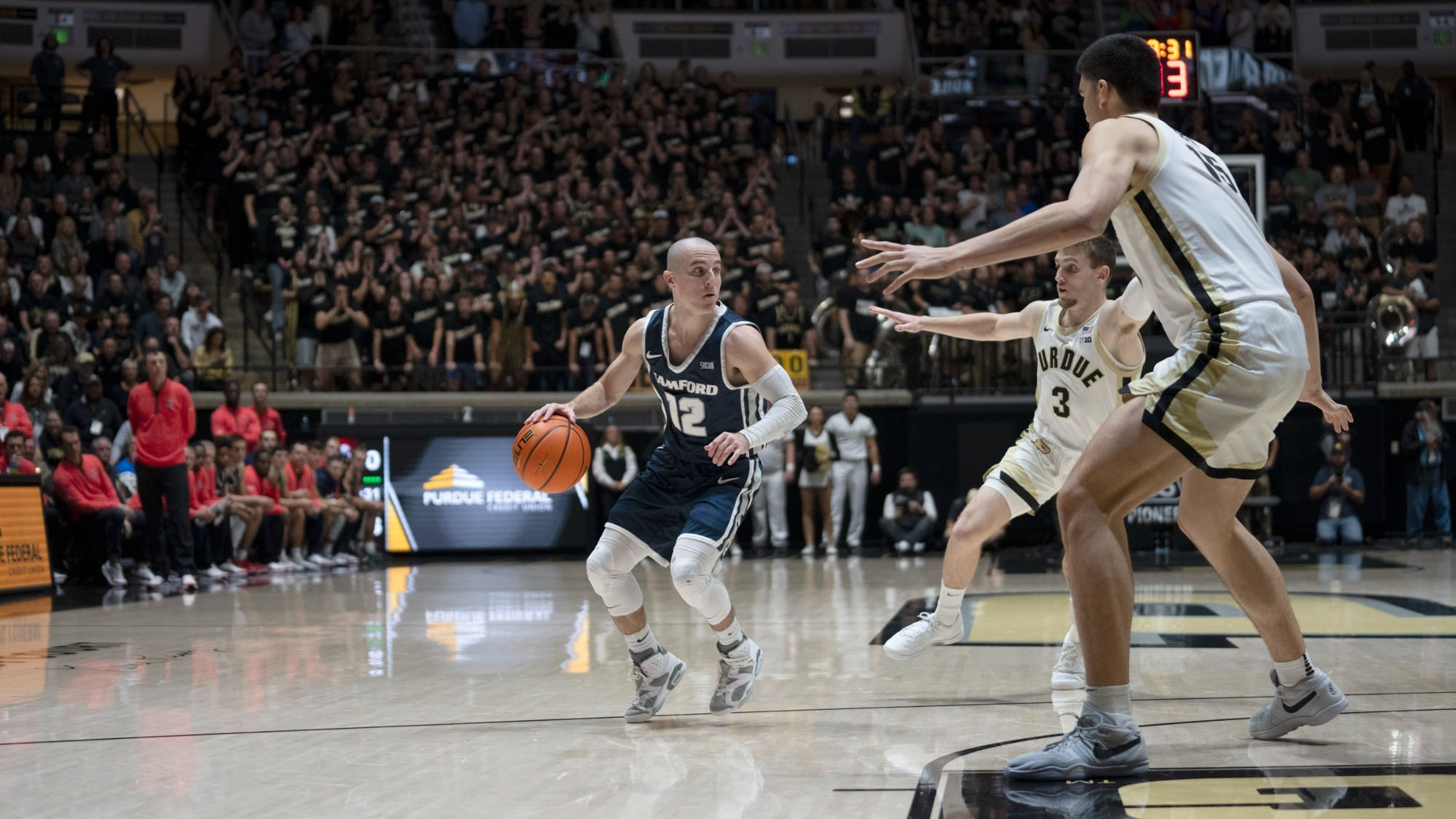 Dallas Graziani - Men's Basketball - Samford University Athletics