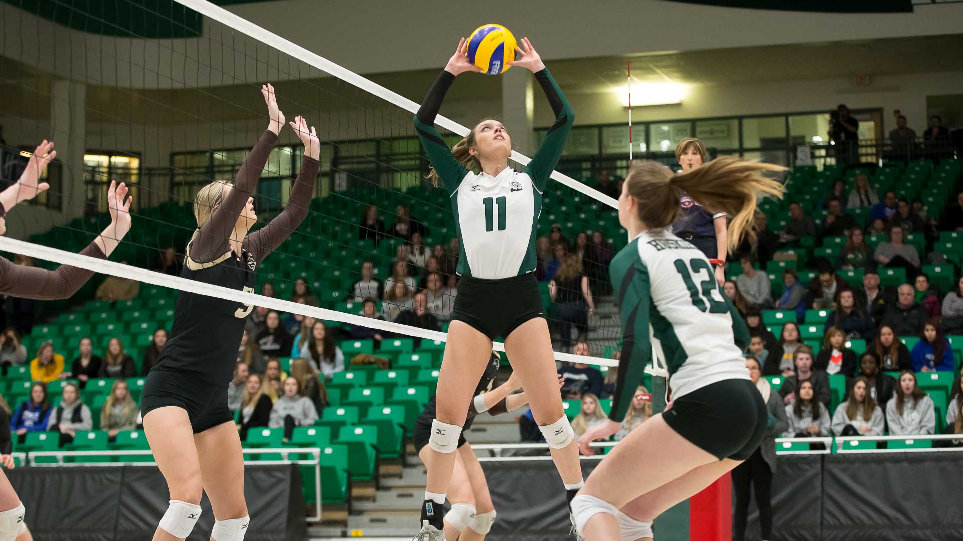 Alexandra Frank - Women's Volleyball - Huskie Athletics