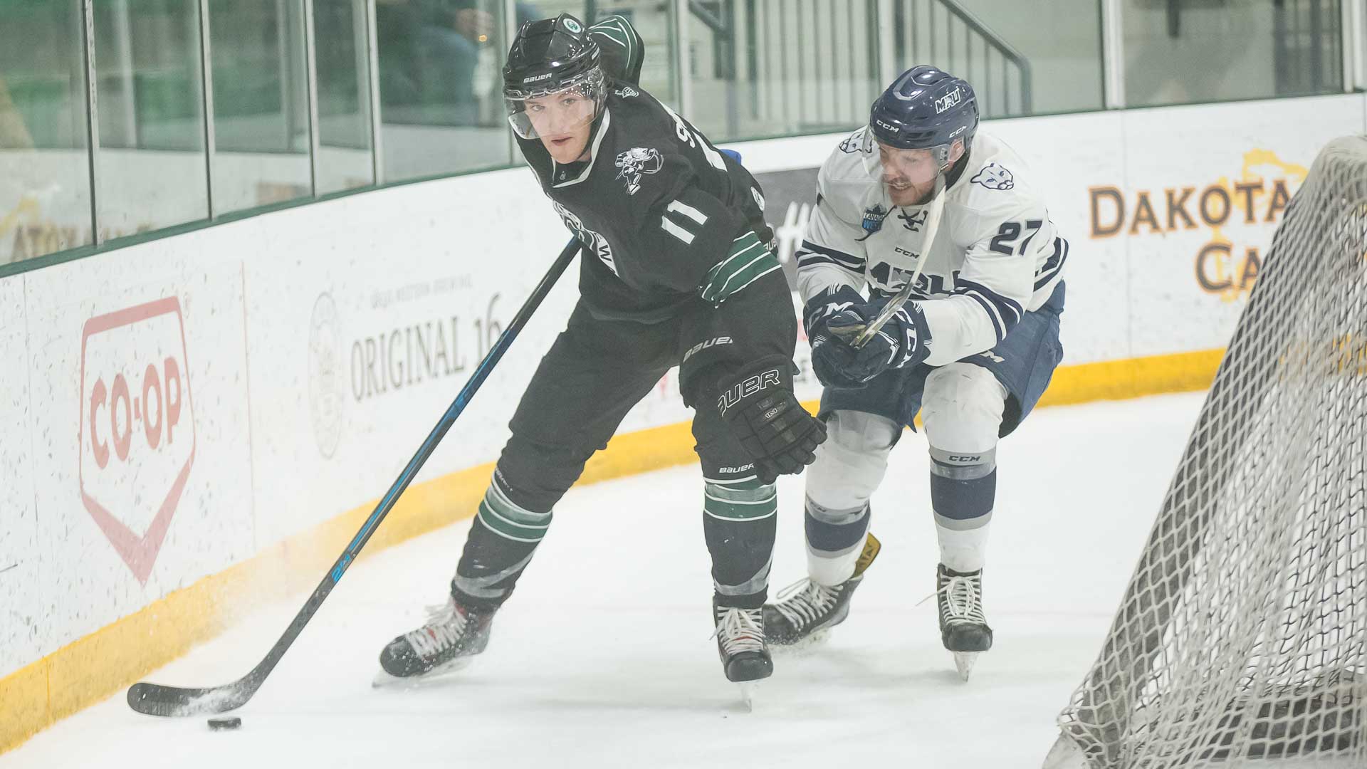 Collin Shirley - Men's Hockey - Huskie Athletics