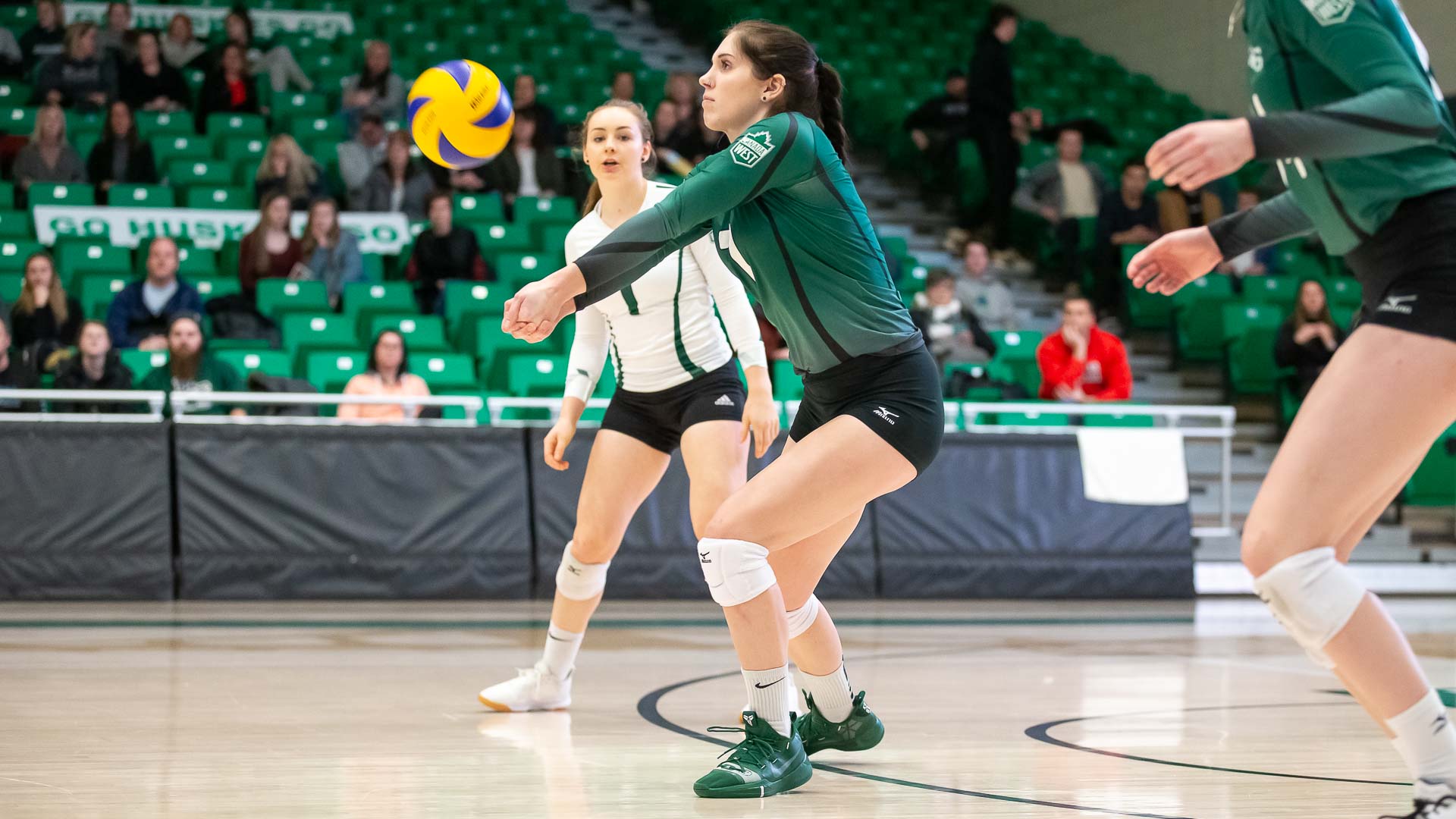 Emily Koshinsky - Women's Volleyball - Huskie Athletics