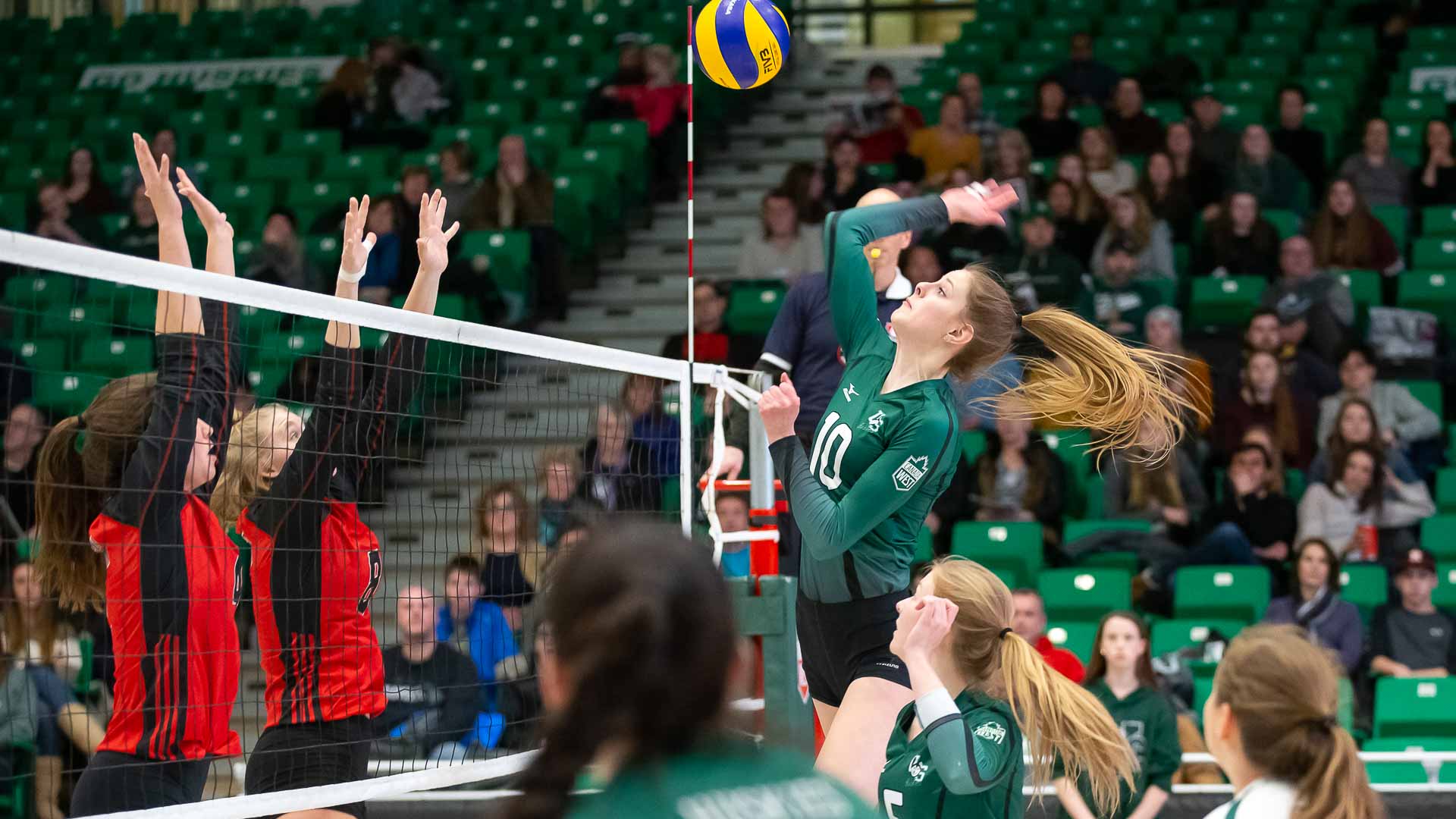 Mandi Fraser - Women's Volleyball - Huskie Athletics