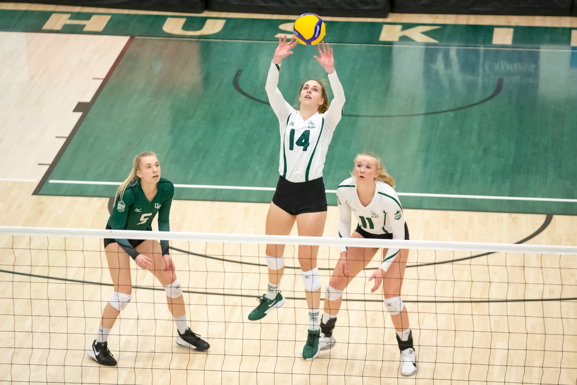 Devyn Ethier - Women's Volleyball - Huskie Athletics