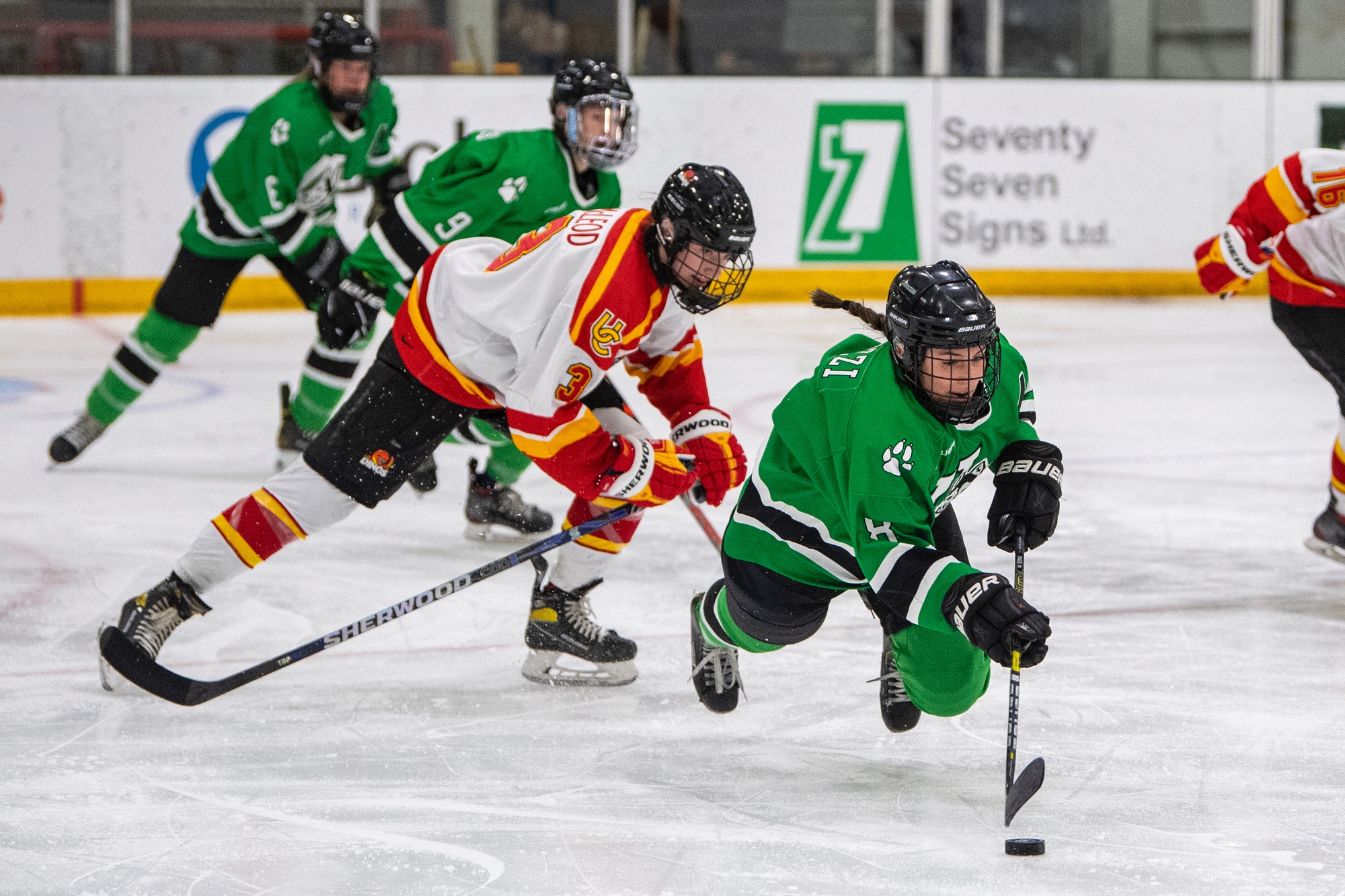 Isabella Pozzi - Women's Hockey - Huskie Athletics